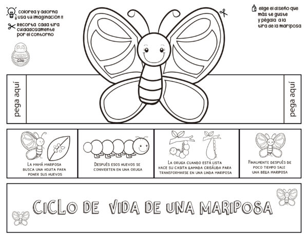 El ciclo de vida de las mariposas (Actividad) – paramaestros