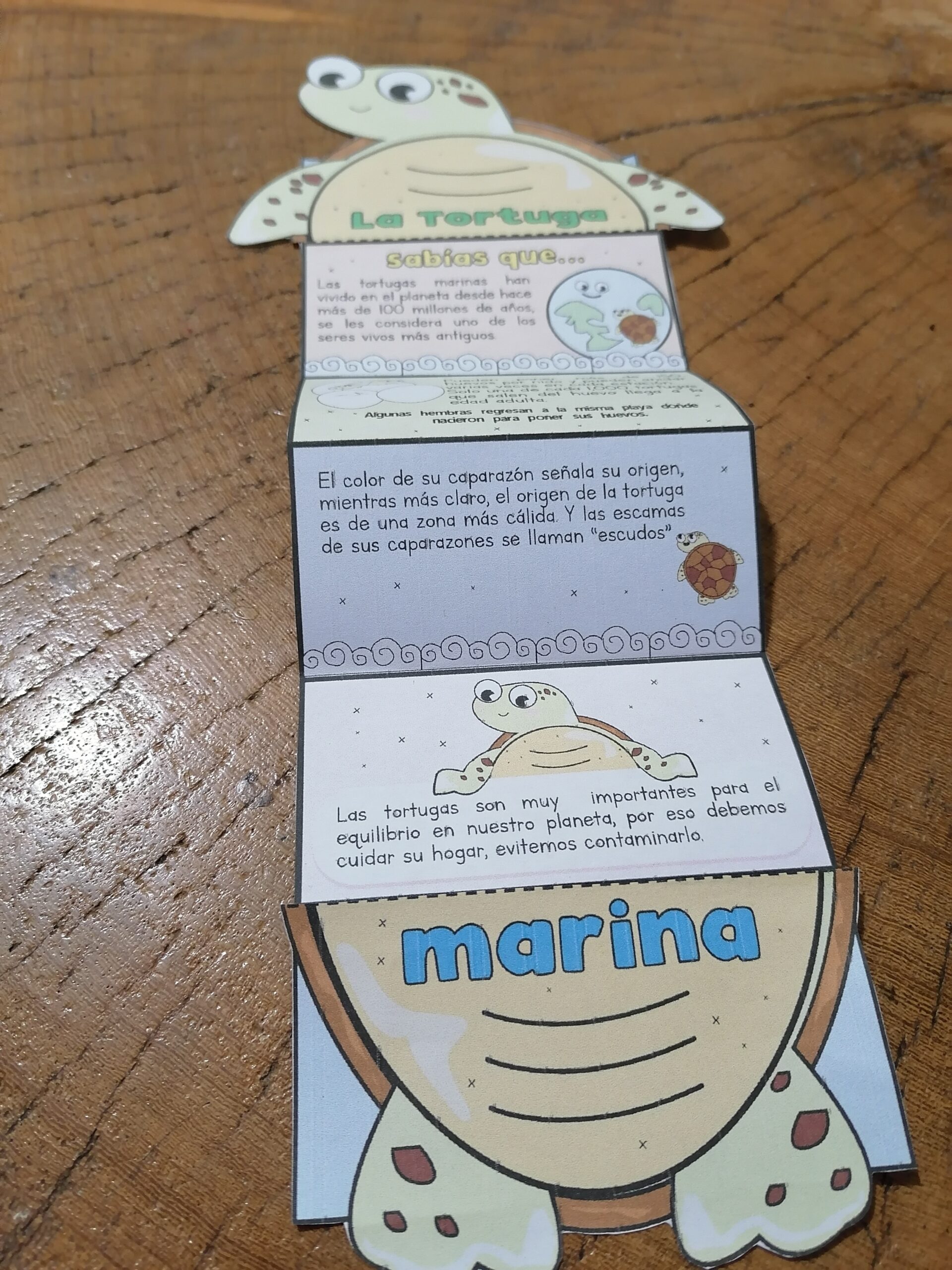 Las Tortugas Marinas (Flipbook + Corona armable) – paramaestros