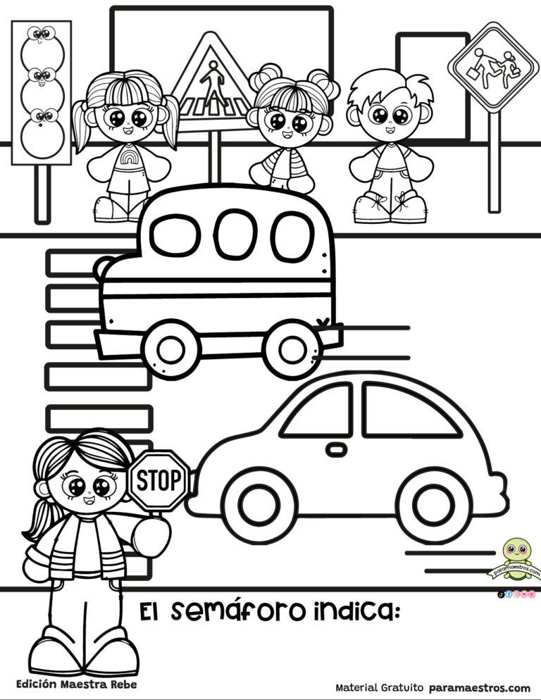 Vialidad señales de tránsito y actividades – paramaestros